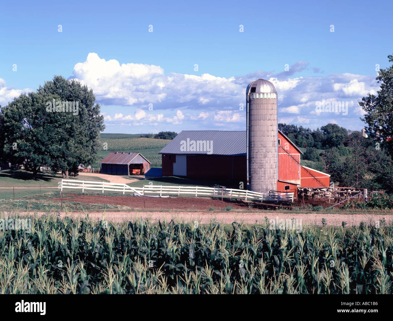 Wisconsin dairy farm with crops red barn silos outbuildings and rural ...