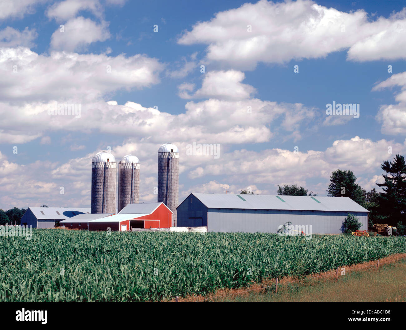 Wisconsin dairy farm with crops red barn silos outbuildings and rural ...
