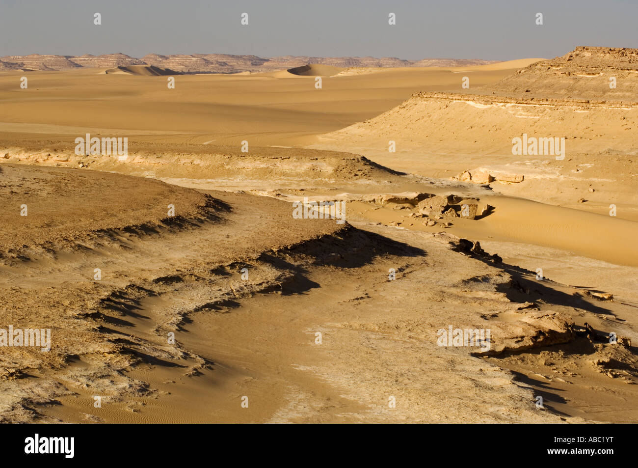 dunes, the Great Sand Sea, Western desert near Siwa oasis, Egypt Stock ...