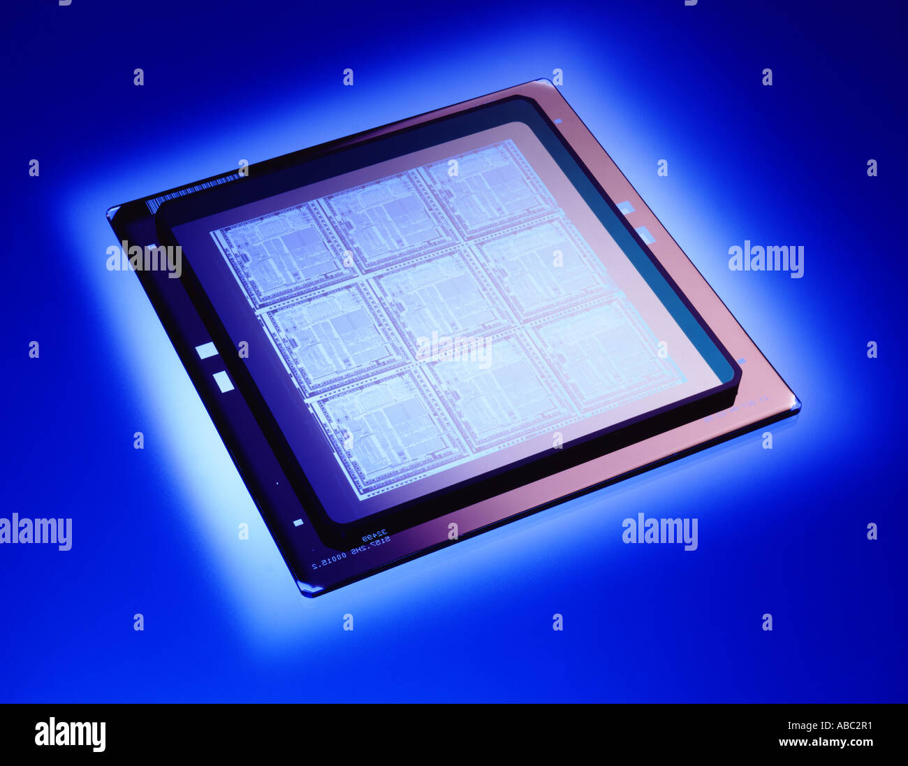 Micro phot hi-res stock photography and images - Alamy