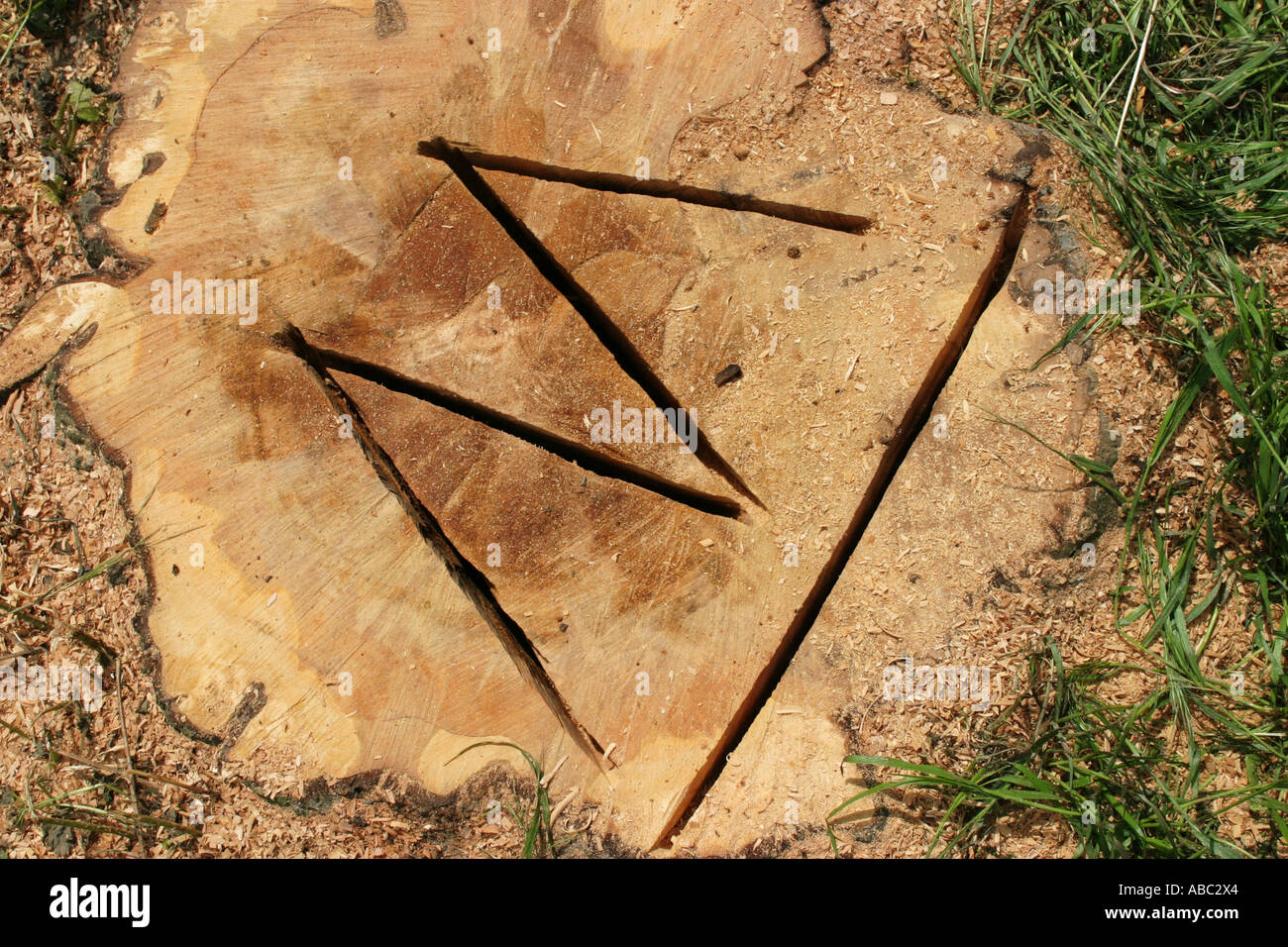 Tree stump with a sign carved in Stock Photo - Alamy