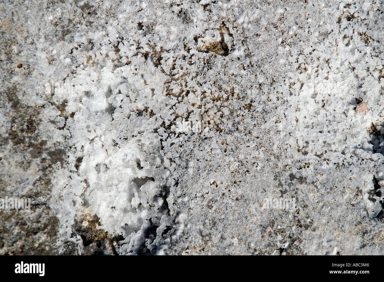 Salt Deposits on Rock Stock Photo - Alamy