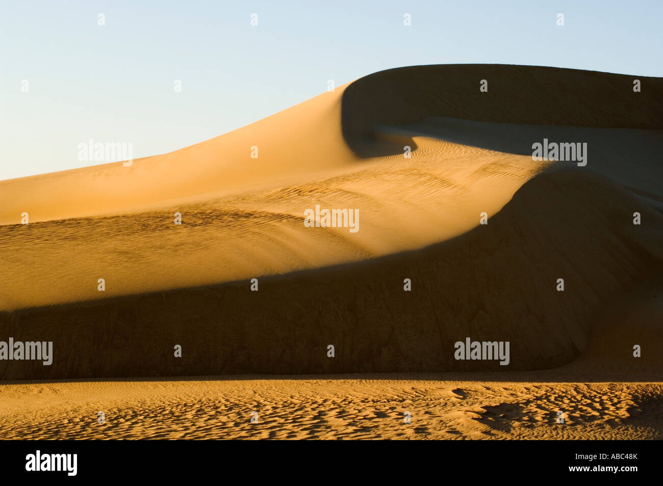 dune, the Great Sand Sea, Western desert near Siwa oasis, Egypt Stock ...