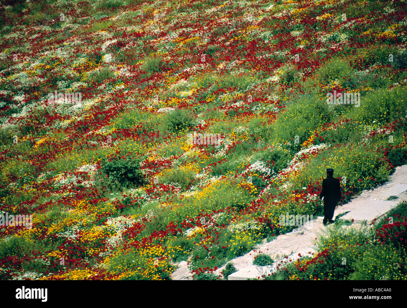 Hi65097 hi-res stock photography and images - Alamy