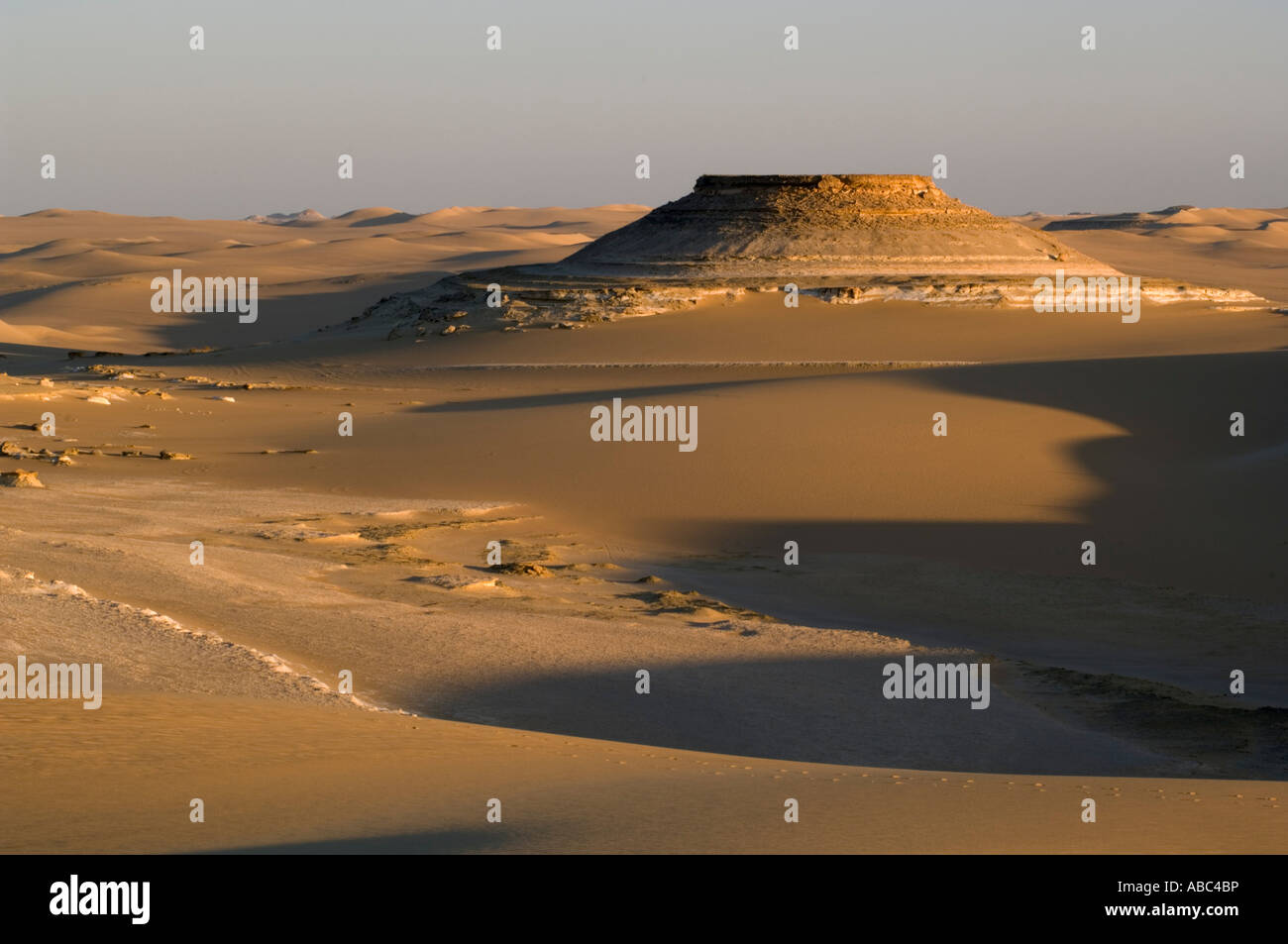 dunes, the Great Sand Sea, Western desert near Siwa oasis, Egypt Stock ...