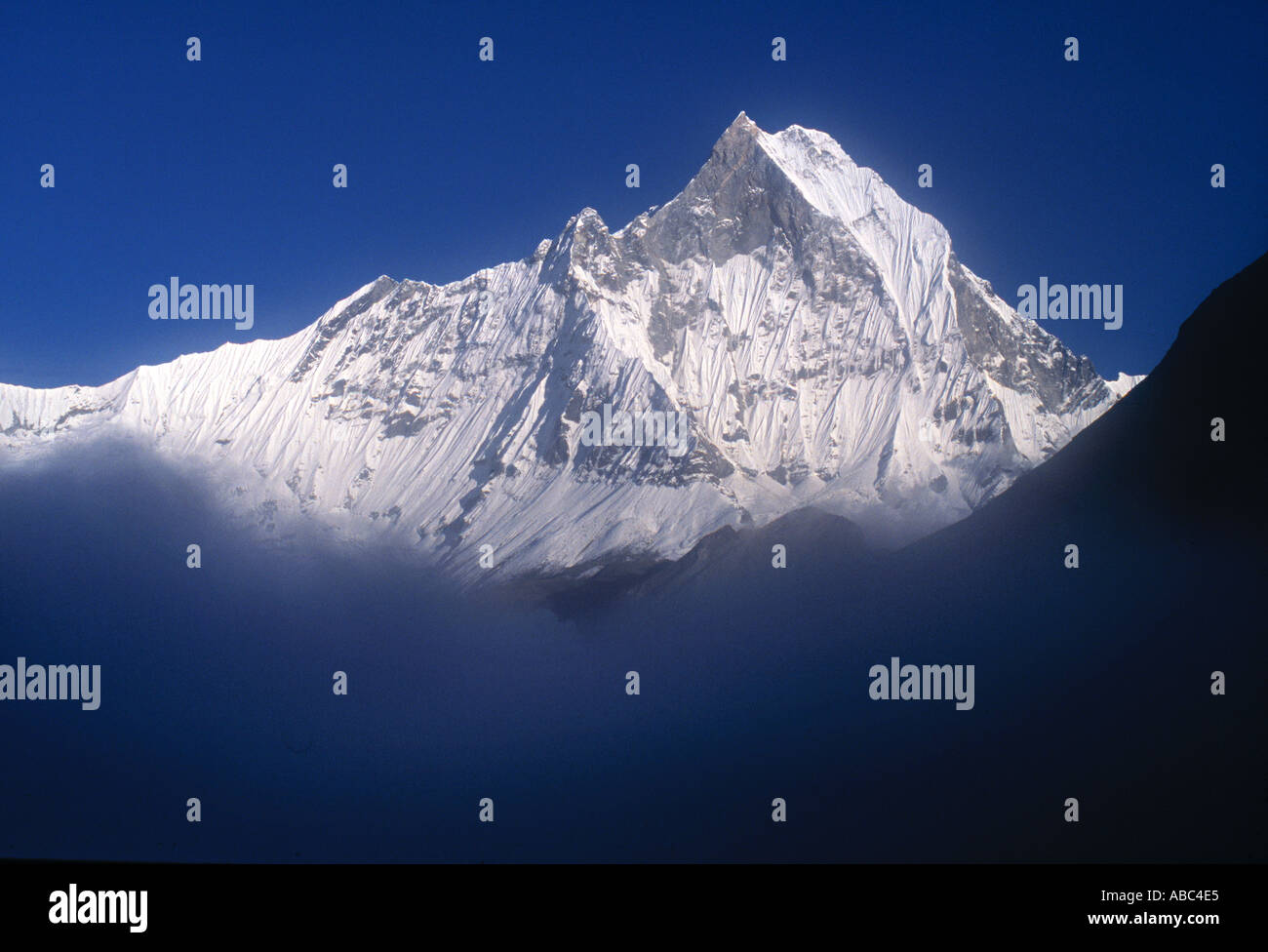 Fishtail mountain, Annapurna range, Nepal Stock Photo - Alamy