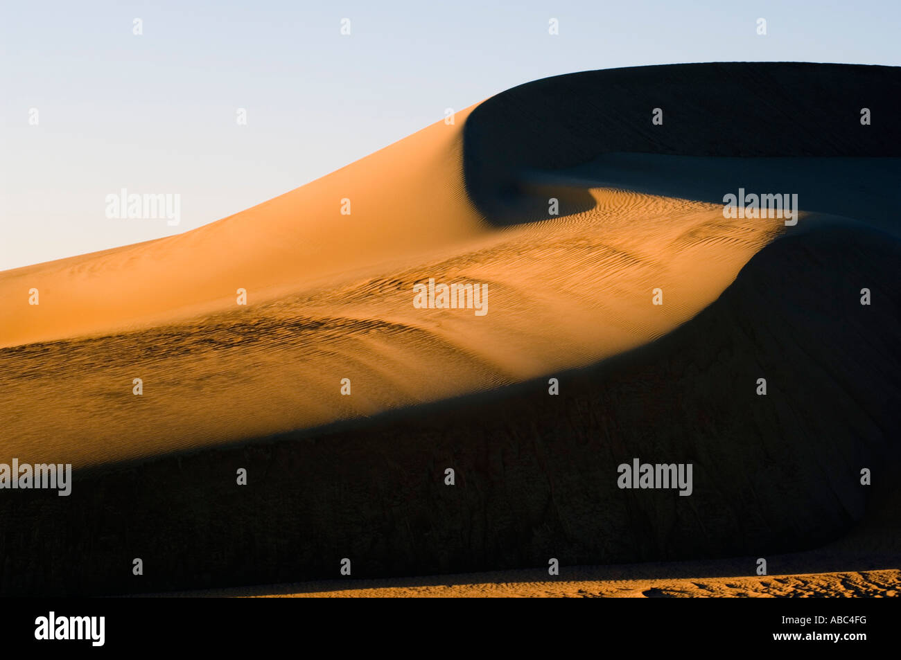 dune, the Great Sand Sea, Western desert near Siwa oasis, Egypt Stock ...