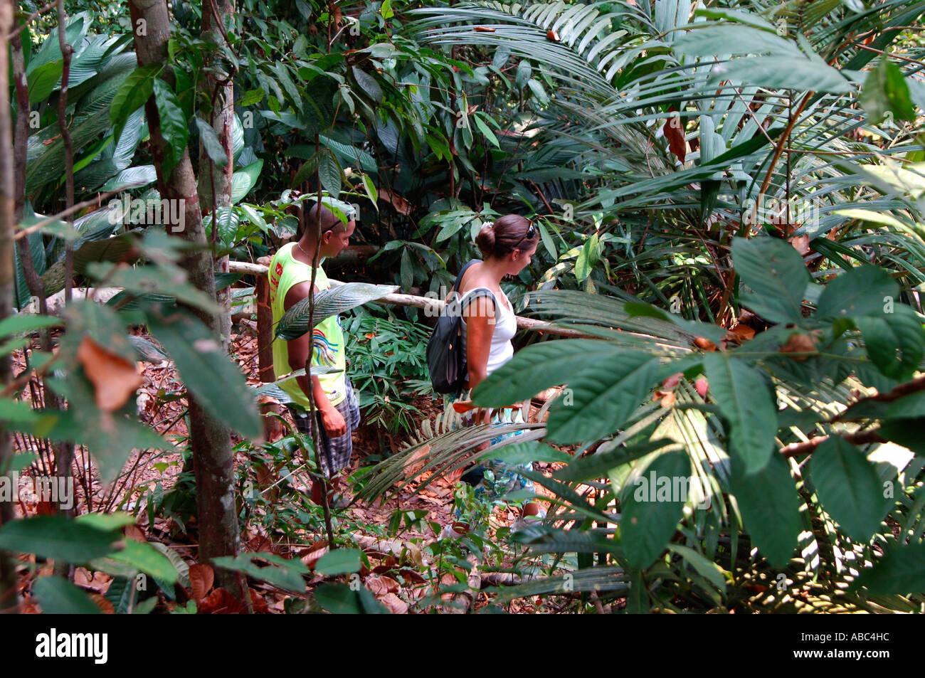 Brazil jungle woman hi-res stock photography and images - Alamy