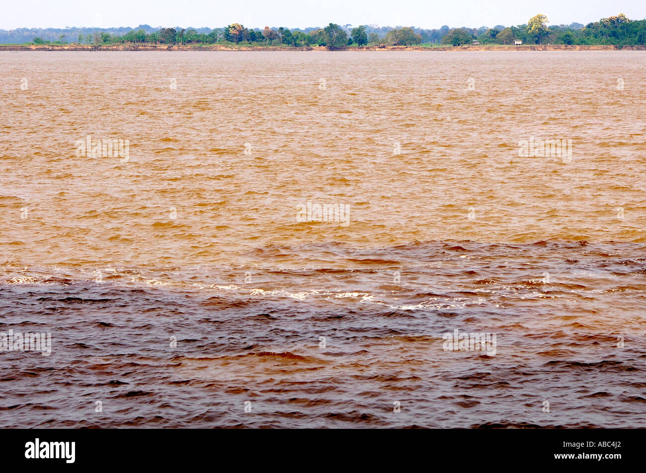 Meeting of the waters At the confluence of the Amazonas river brown ...
