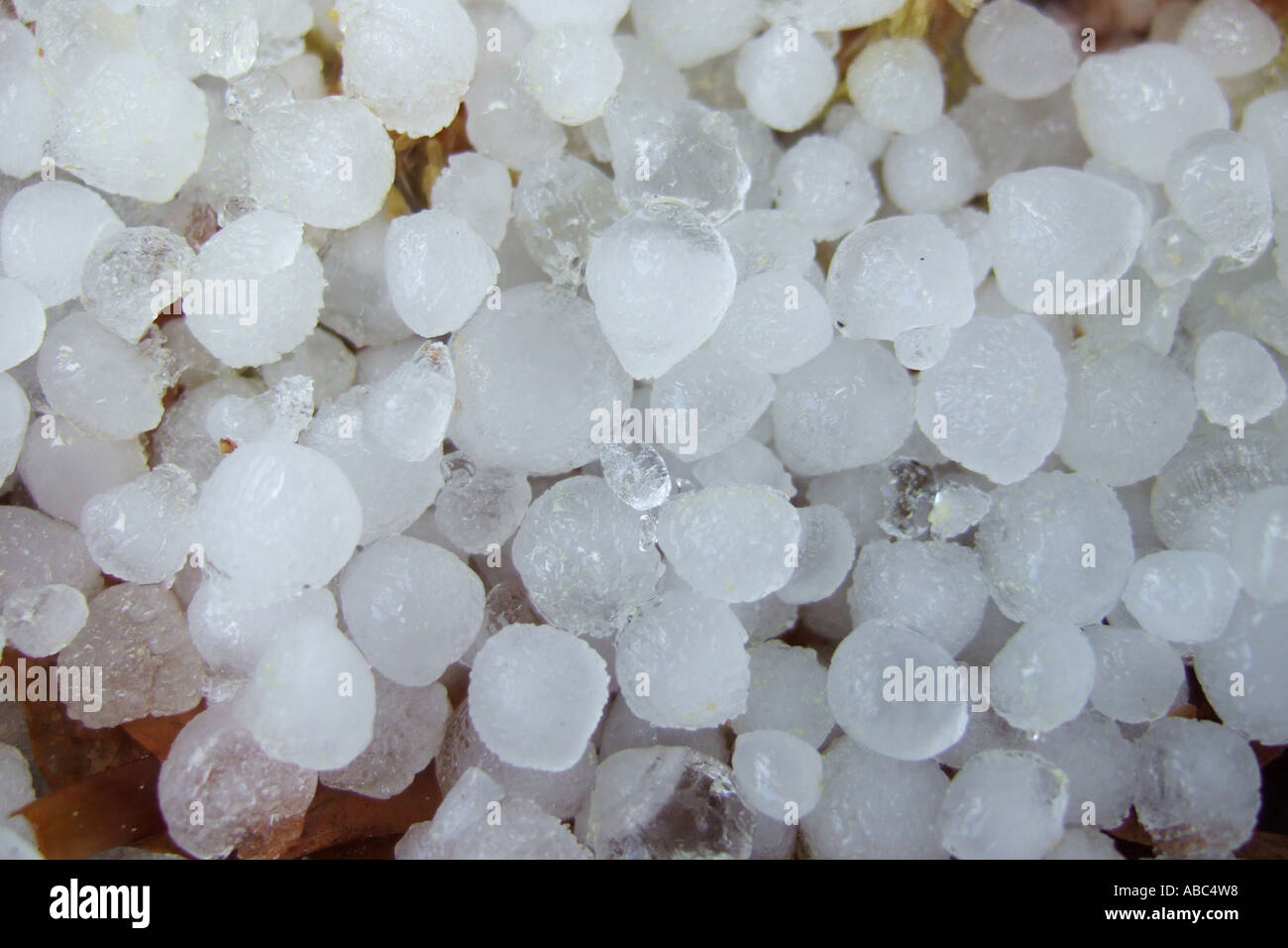 The hail hi-res stock photography and images - Alamy