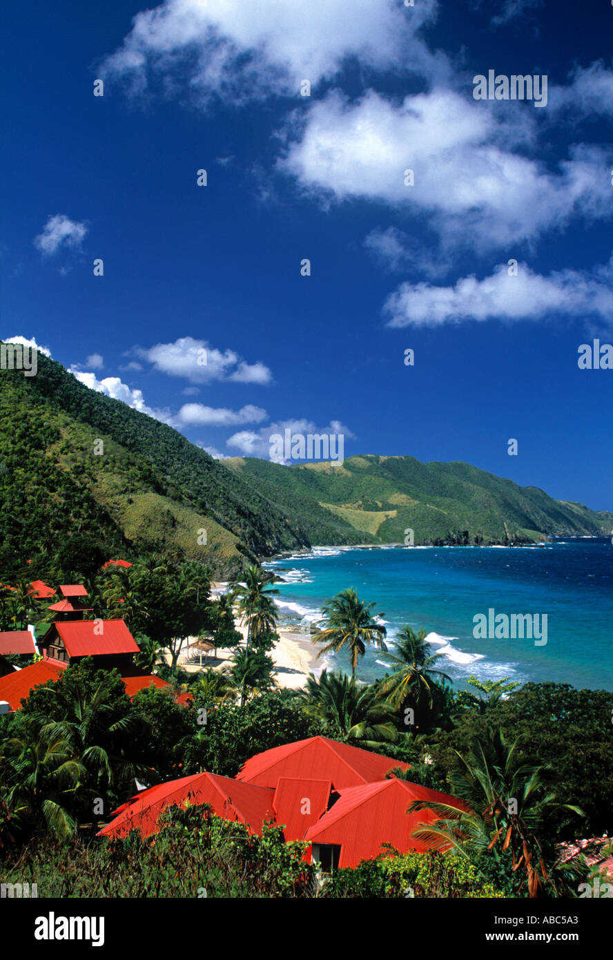 Cane Bay, St.Croix, US Virgin Islands, Caribbean Stock Photo - Alamy