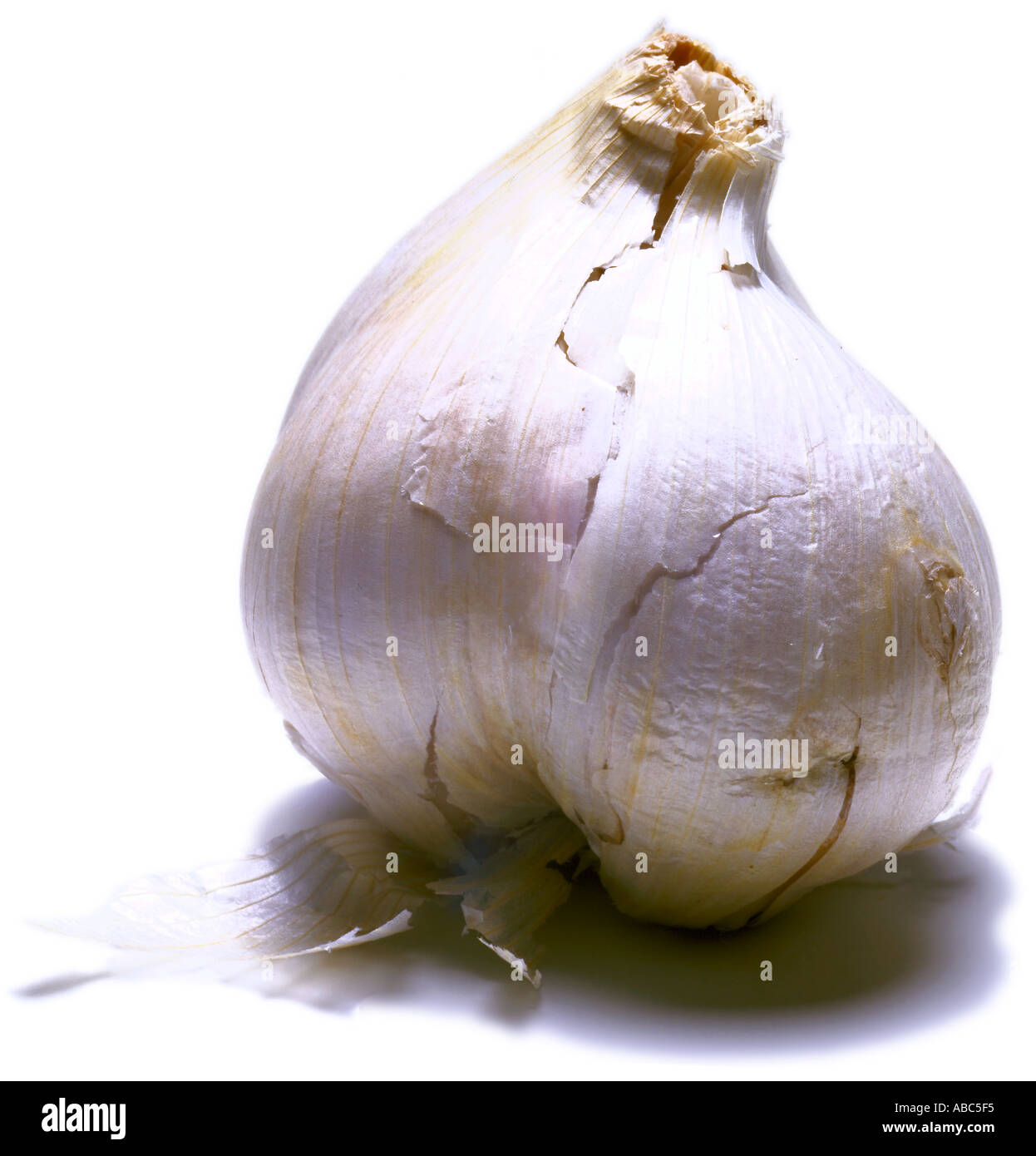 Garlic head icon Cut Out Stock Images & Pictures - Alamy