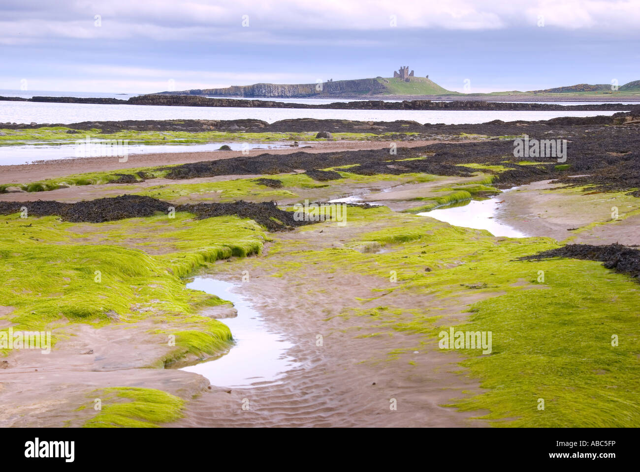 Dunstanburgh Castle seen from Embleston beach Stock Photo - Alamy