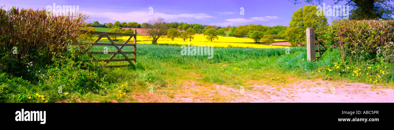 English countryside in panorama Stock Photo - Alamy