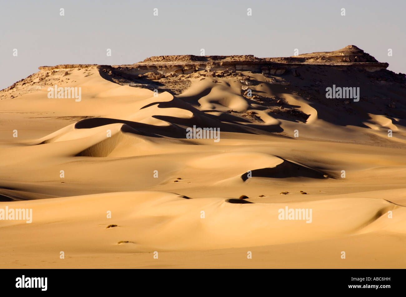dunes, the Great Sand Sea, Western desert near Siwa oasis, Egypt Stock ...