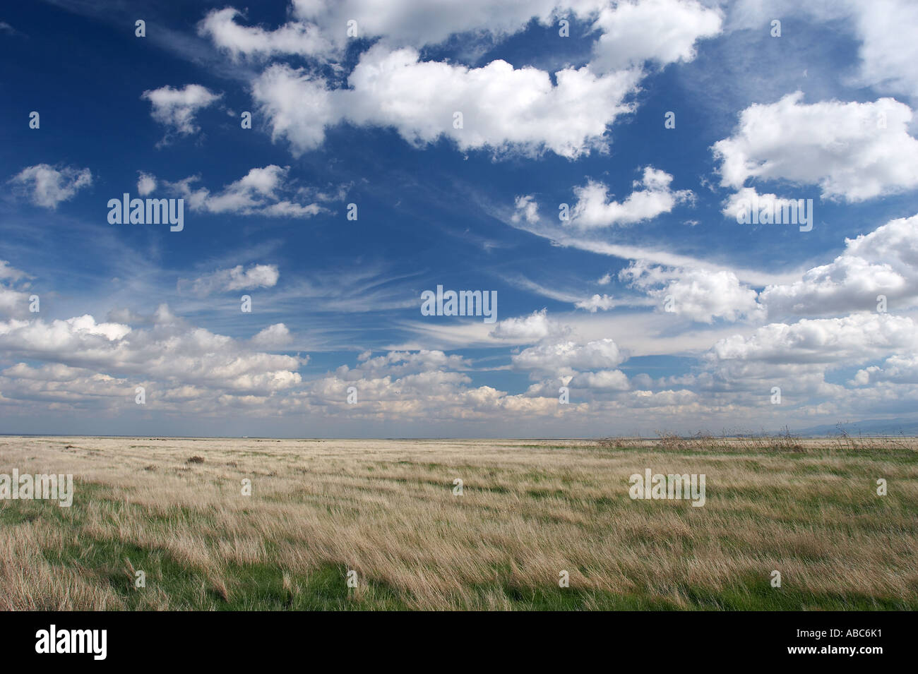 Open plain in California Stock Photo - Alamy