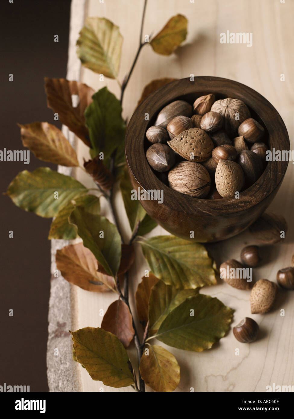 Beech nuts and shells hi-res stock photography and images - Alamy