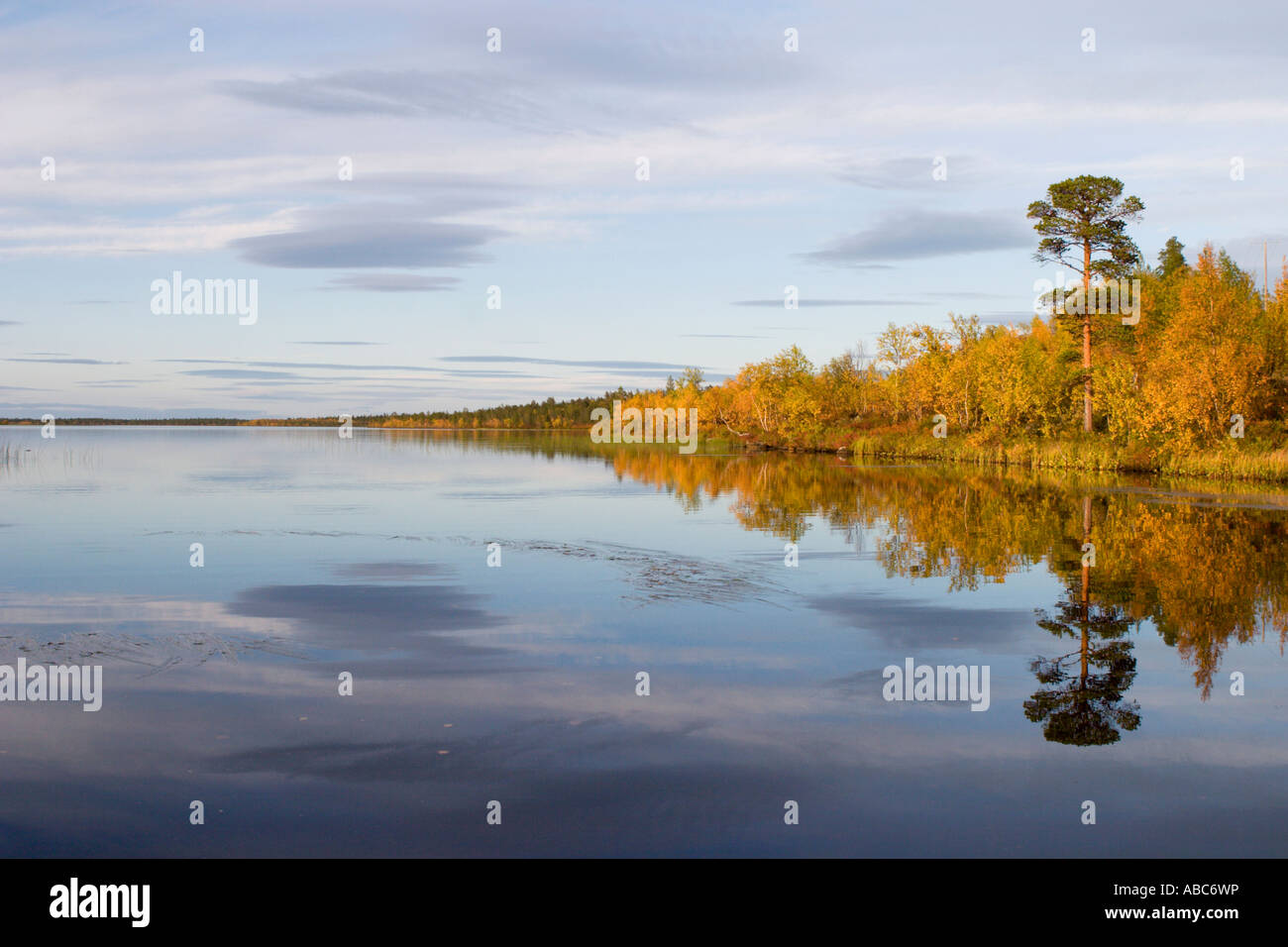 Lake during autumn in Northern Lapland, Finland Stock Photo - Alamy