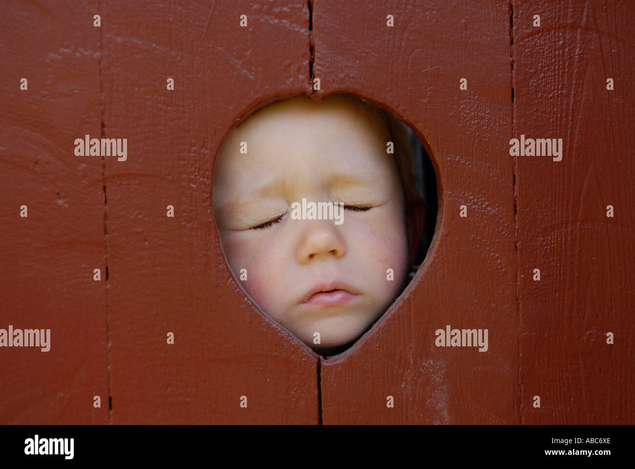 Little boy looks in camera Stock Photo - Alamy