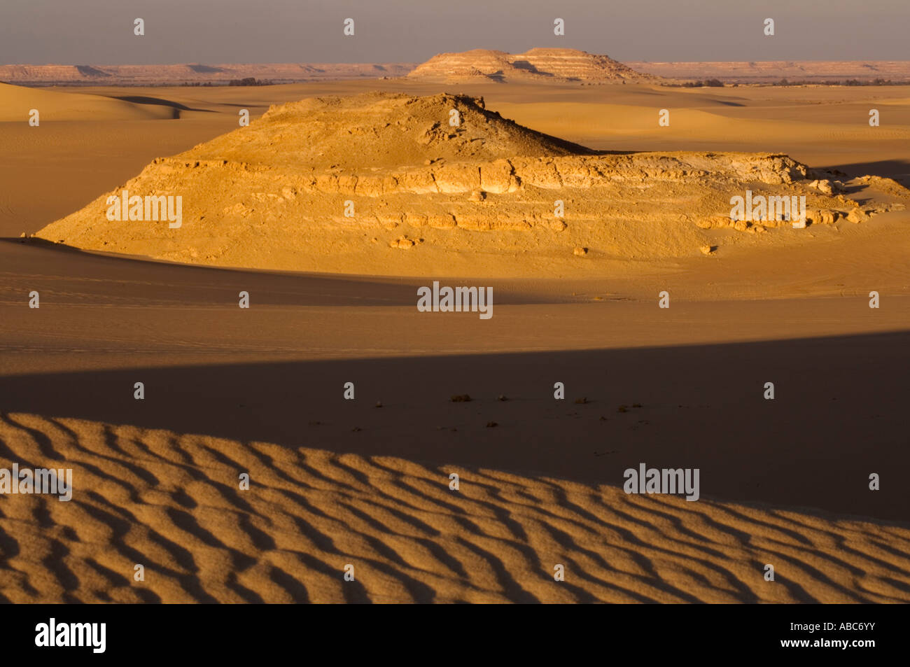 dunes, the Great Sand Sea, Western desert near Siwa oasis, Egypt Stock ...