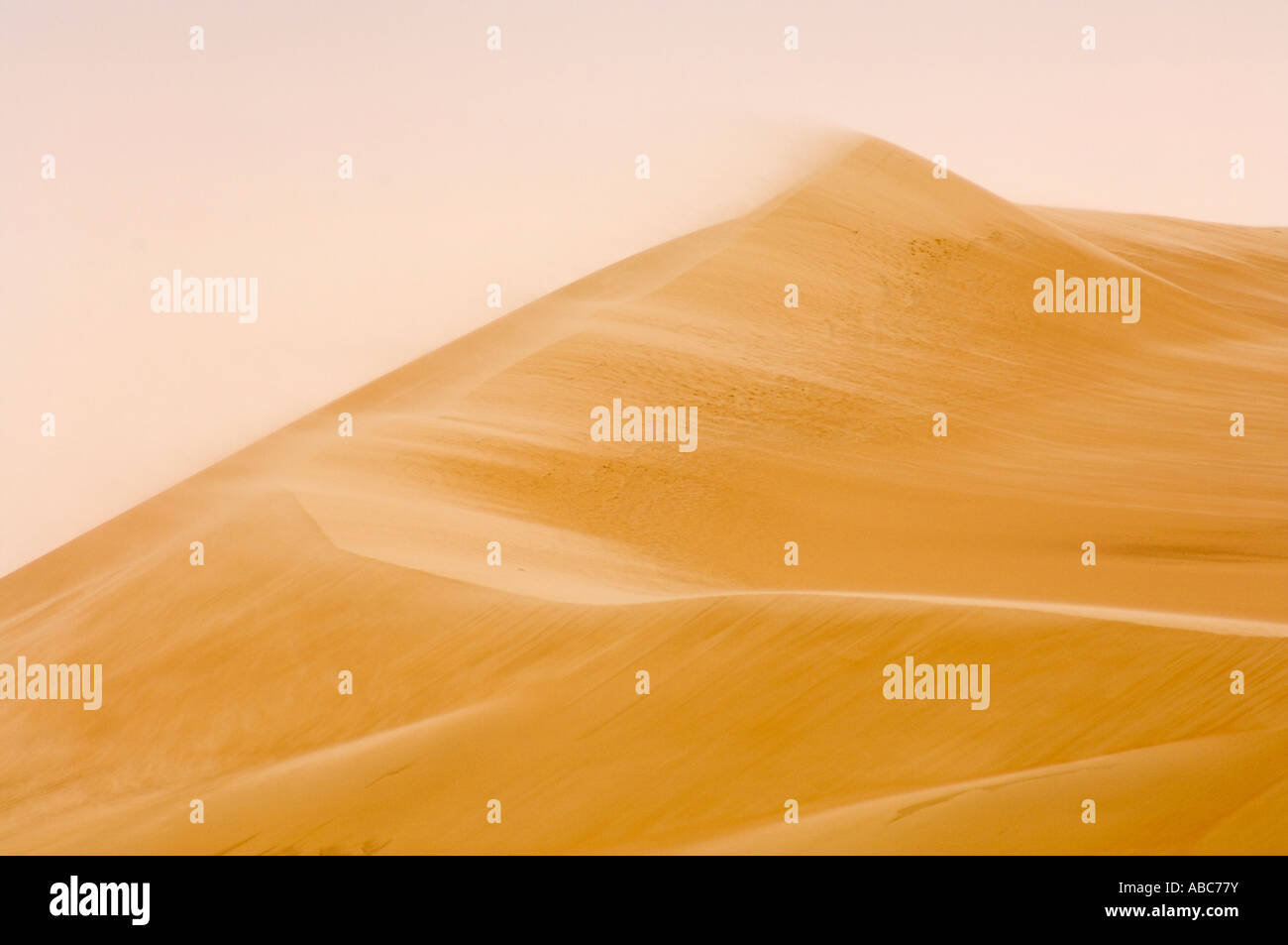 dune, the Great Sand Sea, Western desert near Siwa oasis, Egypt Stock ...