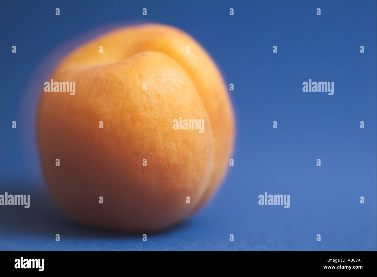 Single ripe apricot ready to eat Stock Photo - Alamy