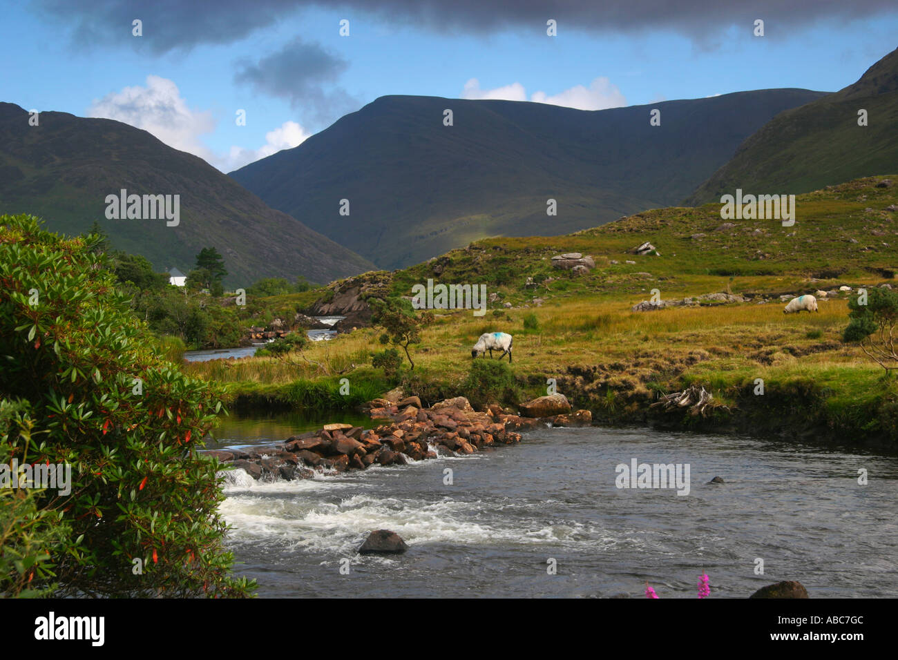 Delphi / Ireland / Connemara Stock Photo - Alamy