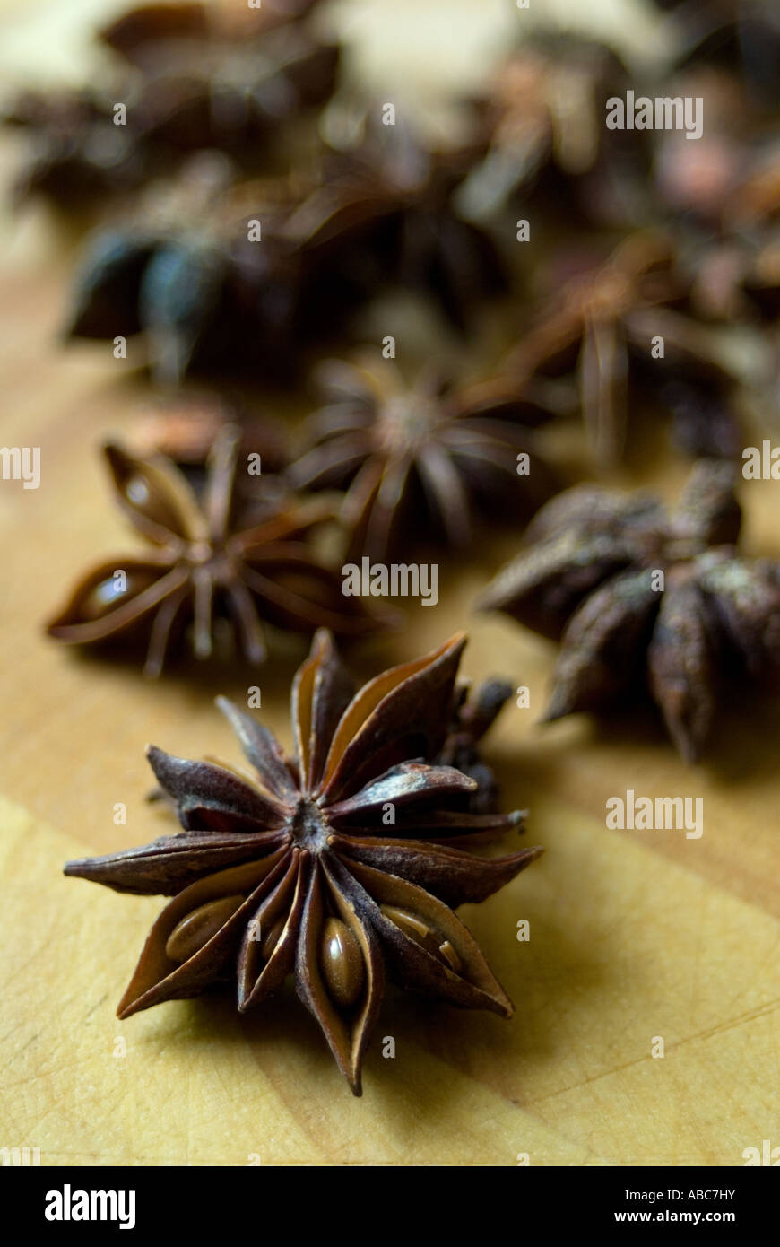Star anis showing seeds Stock Photo - Alamy