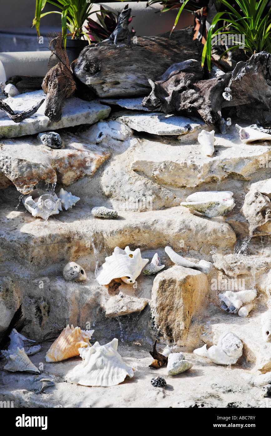 sea shell pool a cabanas with a view of the beautiful white sand beach ...
