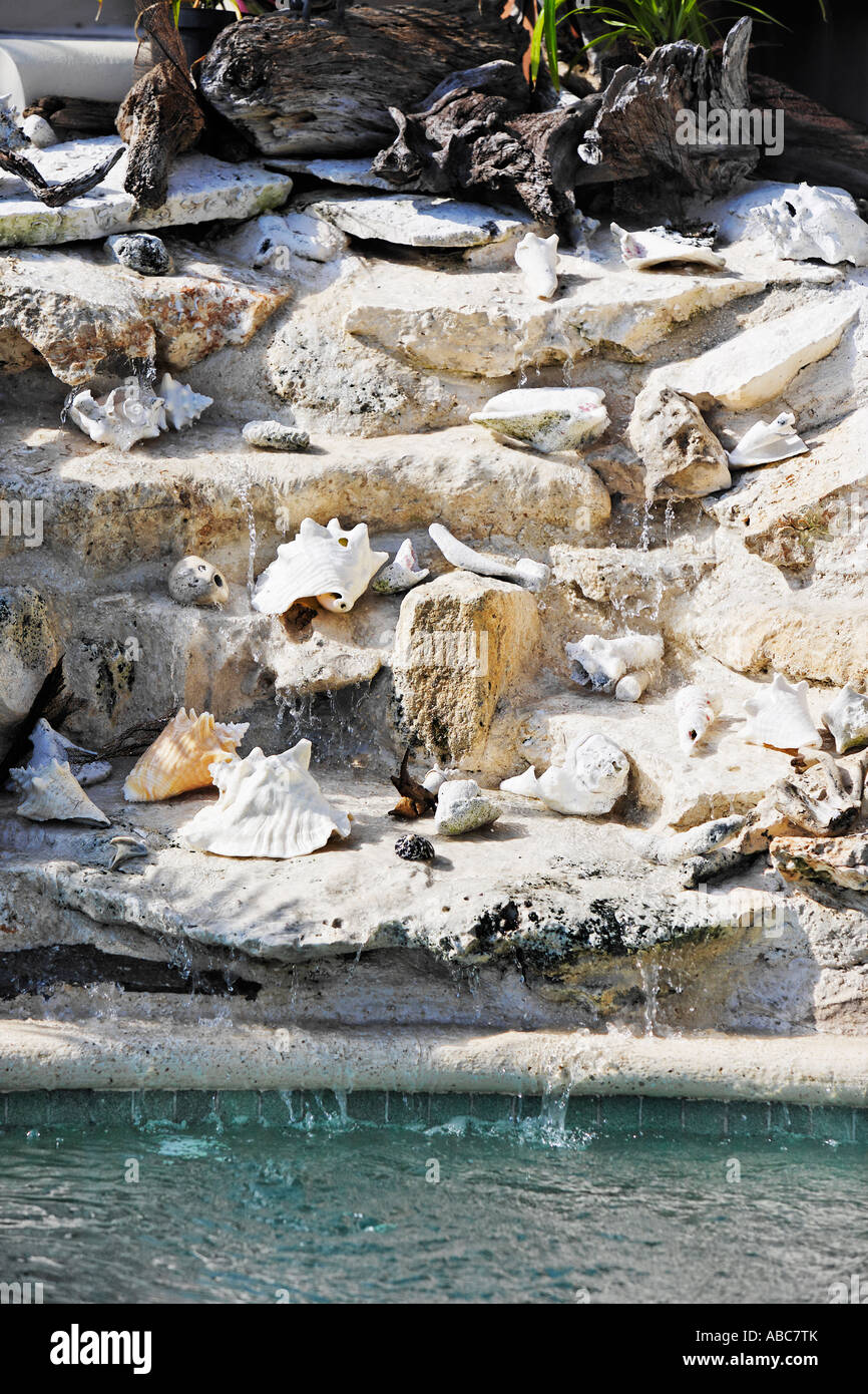 sea shell pool a cabanas with a view of the beautiful white sand beach ...