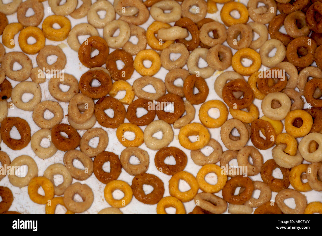 Soggy Cheerios, in sink Stock Photo - Alamy