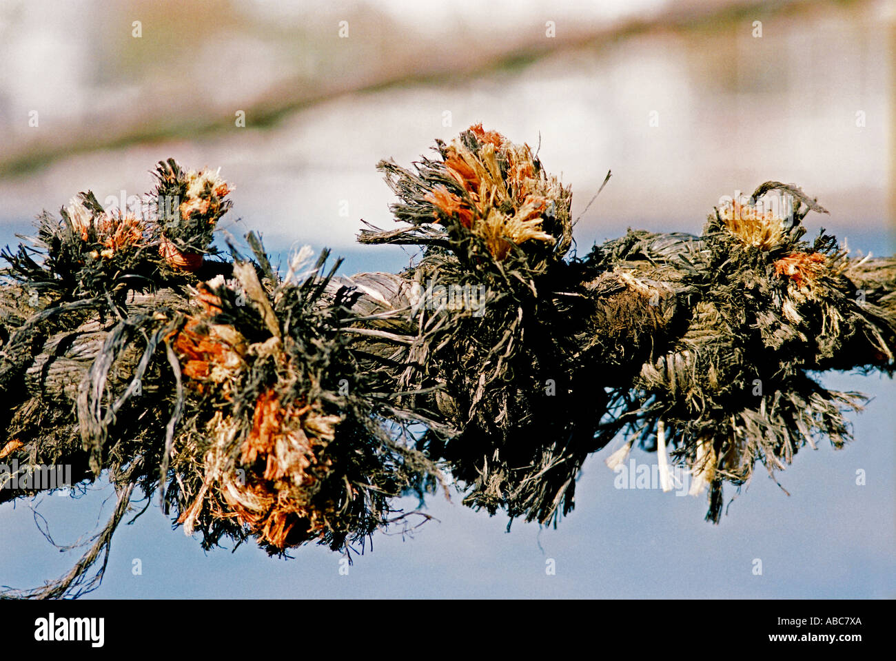 Halyard hi-res stock photography and images - Alamy