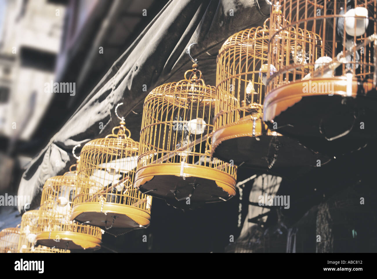 Bird Street, Hong Kong Stock Photo - Alamy