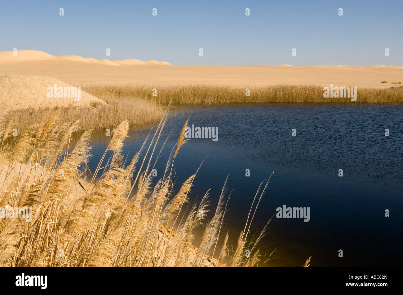 Bir wahed hi-res stock photography and images - Alamy