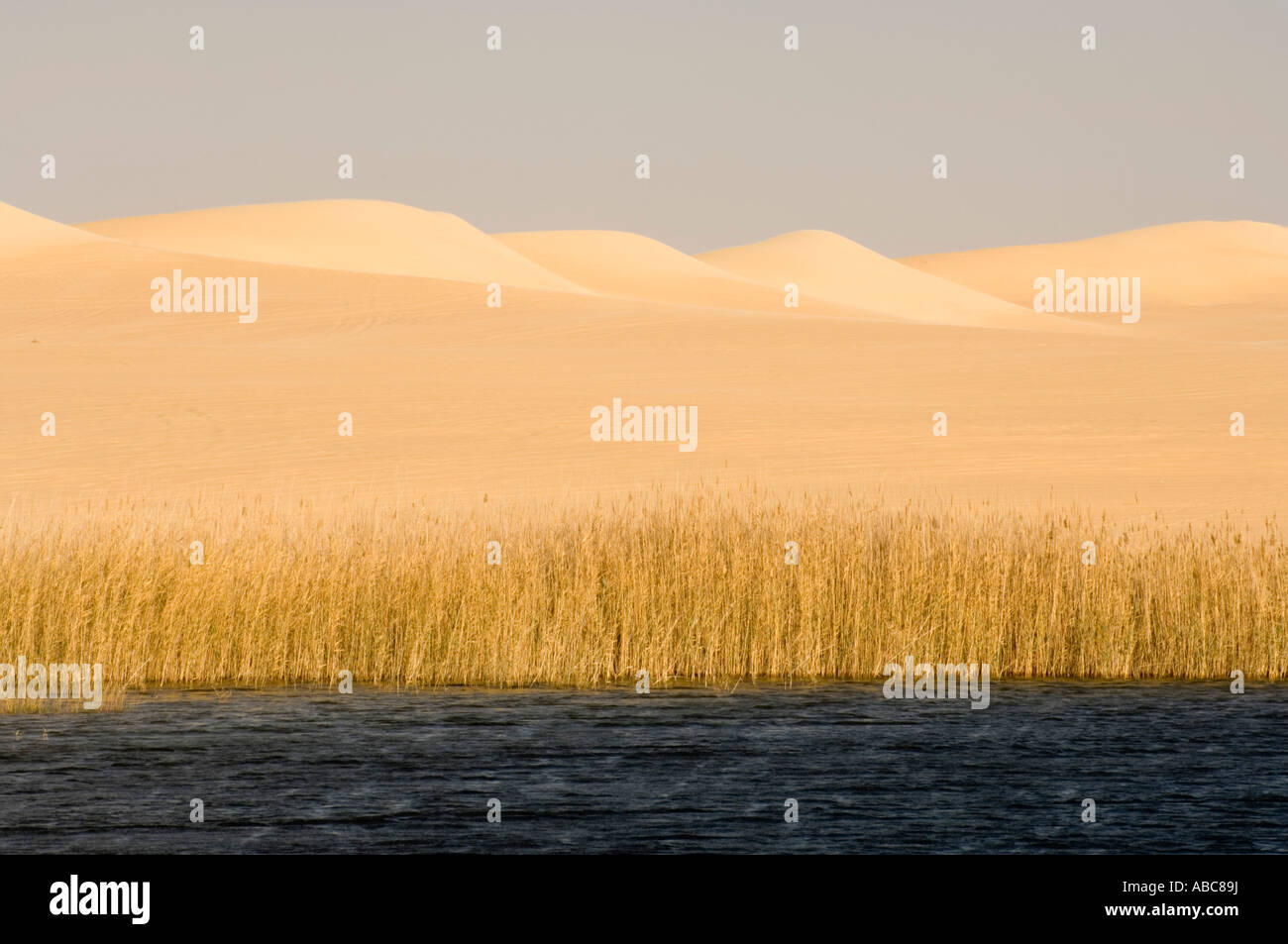 lake at Bir Wahed, the Great Sand Sea, Western desert near Siwa oasis ...