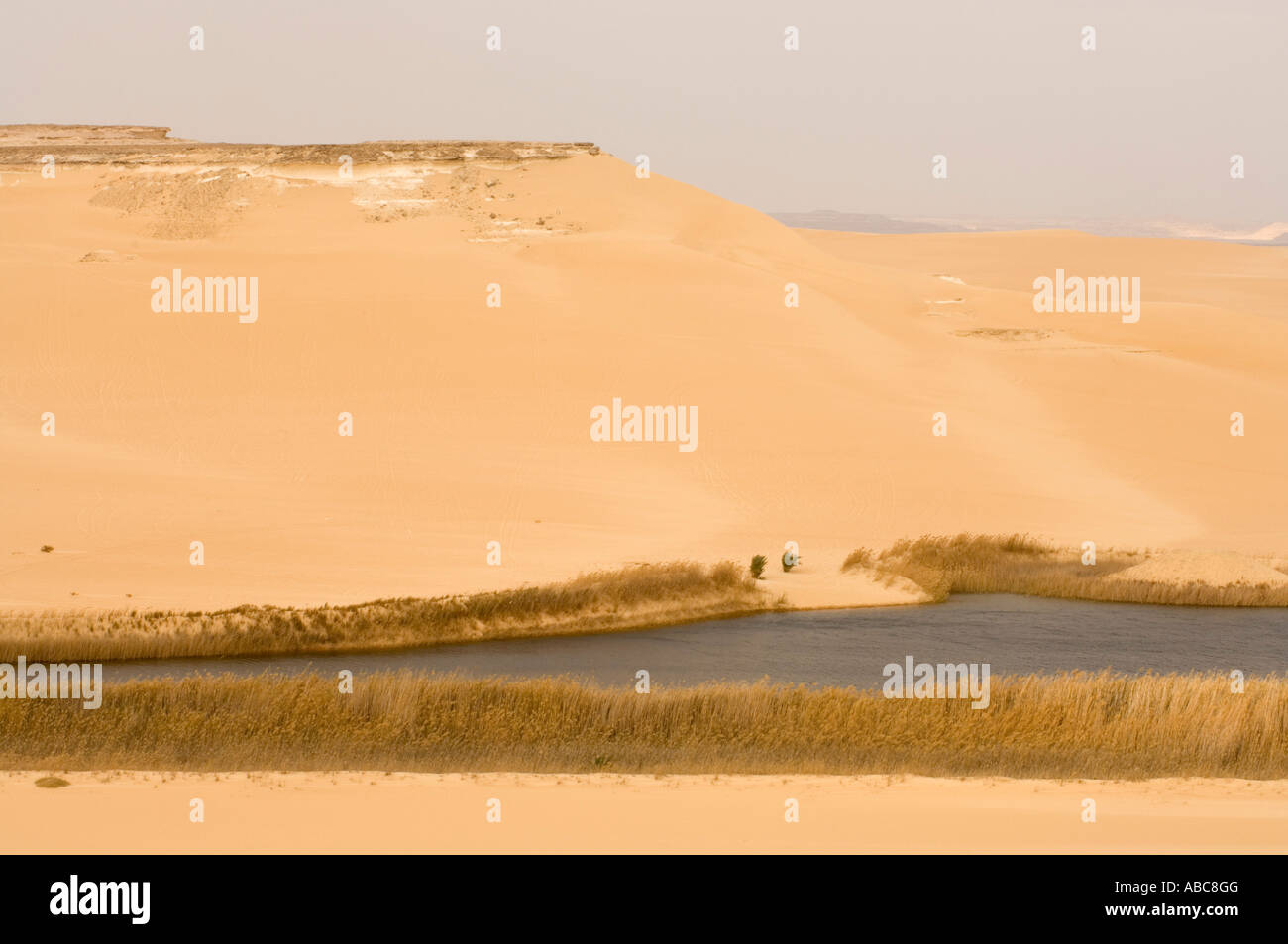 The great sahara desert near siwa hi-res stock photography and images ...