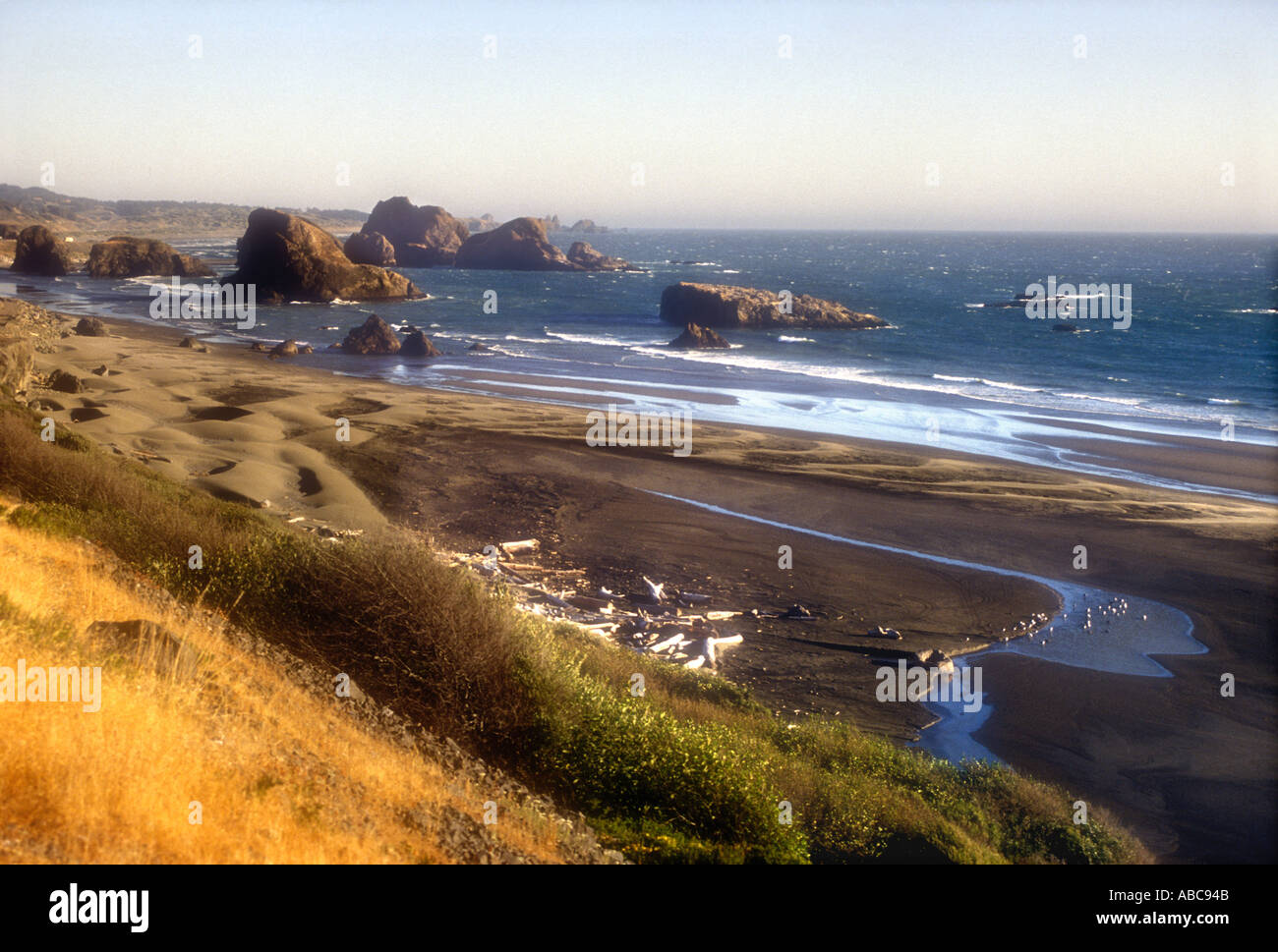 The Pacific coastline near the Californian and Oregon border Stock ...