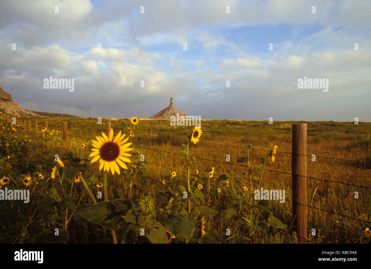 The oregon trail hi-res stock photography and images - Alamy