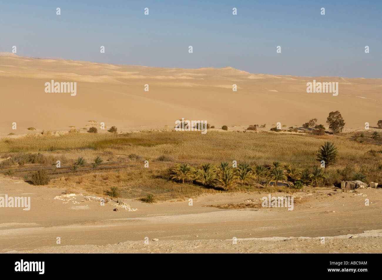 hot spring at Bir Wahed, the Great Sand Sea, Western desert near Siwa ...
