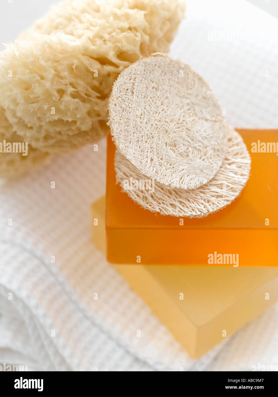 Sponge images hi-res stock photography and images - Alamy