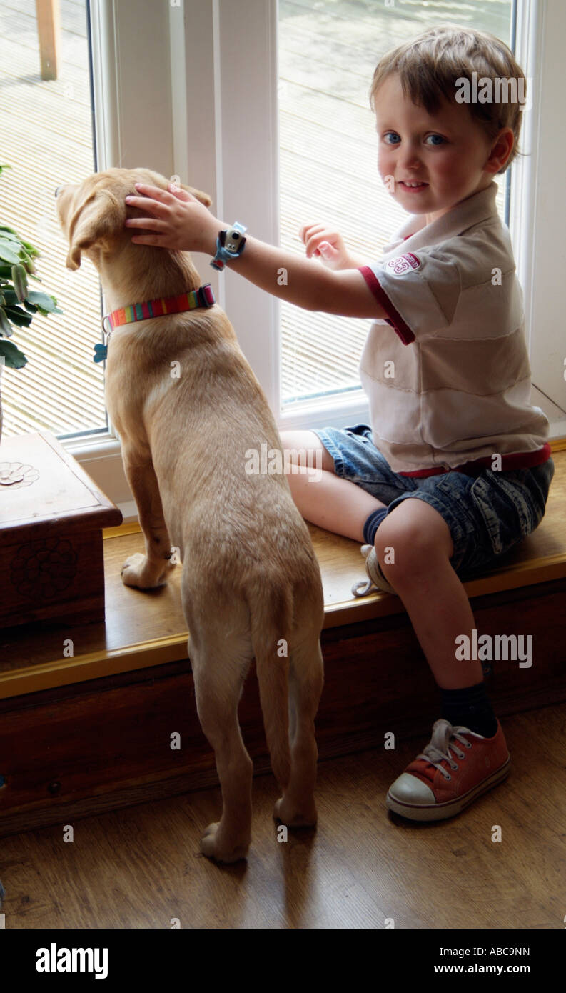 Boy playing with pet puppy Labrador retriever dog Stock Photo - Alamy