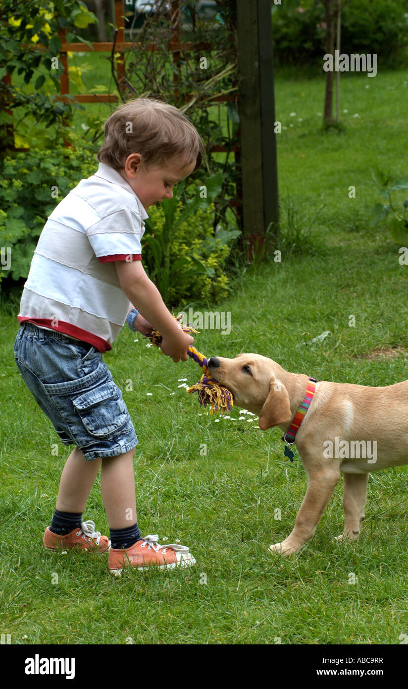 Boy playing with pet puppy Labrador retriever dog Stock Photo - Alamy