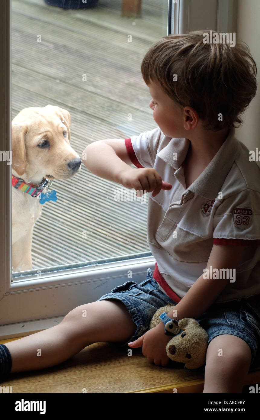 Boy playing with pet puppy Labrador retriever dog Stock Photo - Alamy
