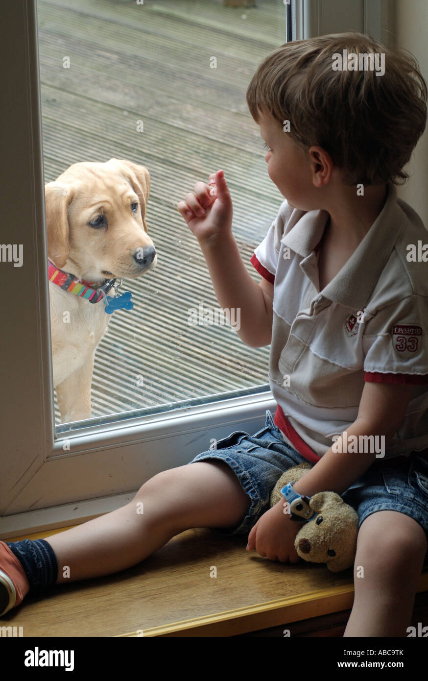 Boy playing with pet puppy Labrador retriever dog Stock Photo - Alamy