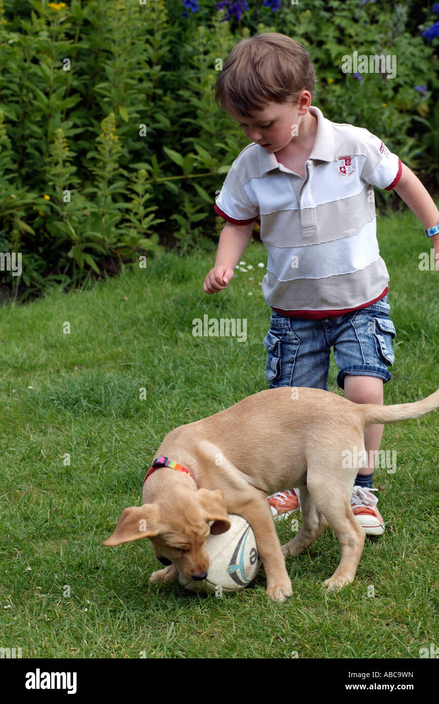 Boy playing with pet puppy Labrador retriever dog Stock Photo - Alamy