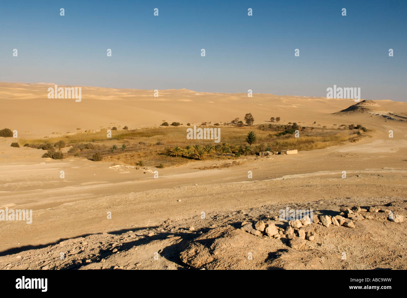 hot spring at Bir Wahed, the Great Sand Sea, Western desert near Siwa ...