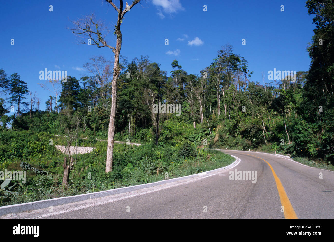 Mexico chiapas state yellow middle line on a empty road near palenque ...