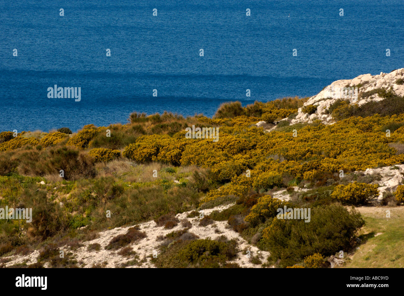 Mle327 hi-res stock photography and images - Alamy