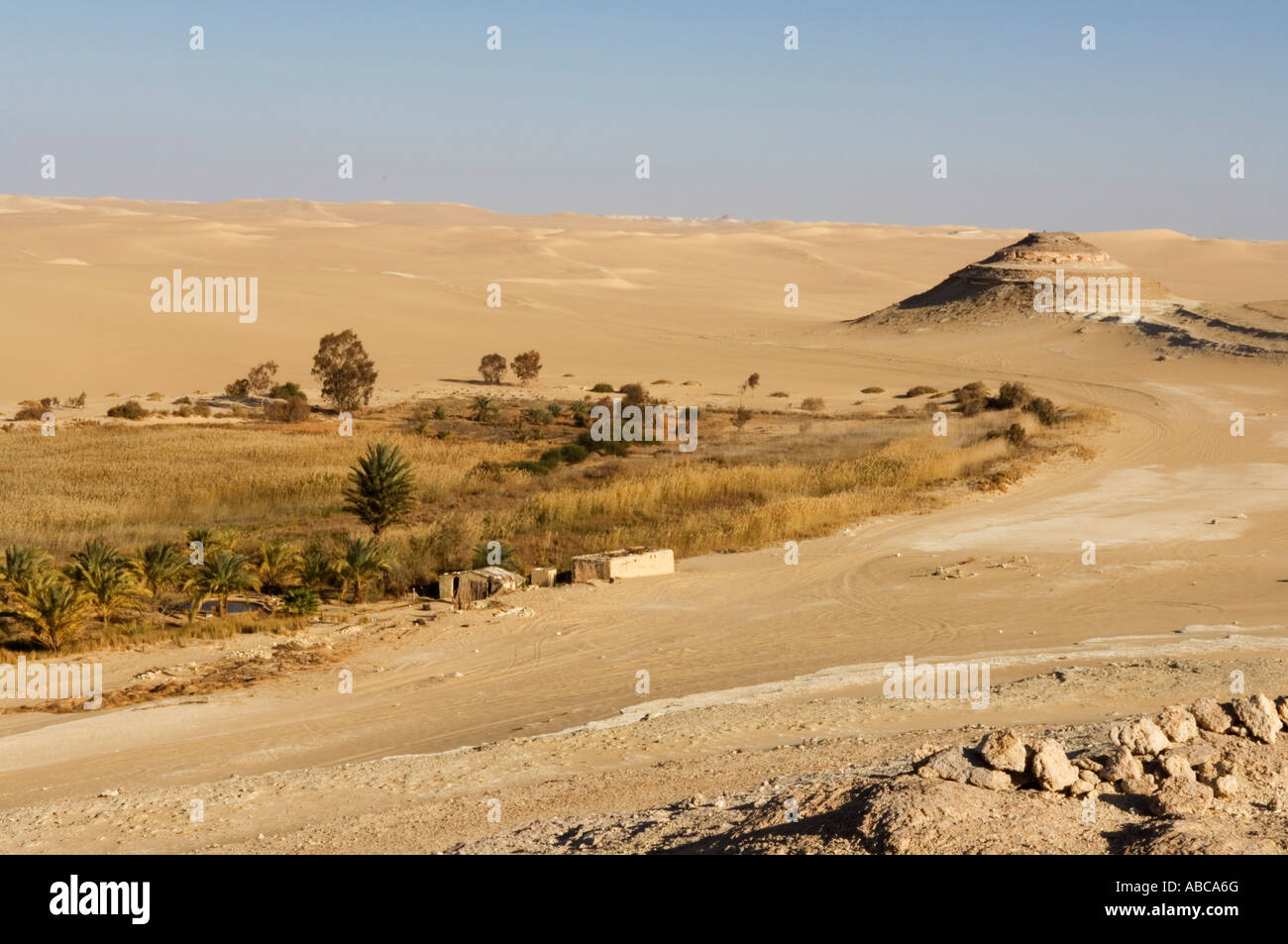 hot spring at Bir Wahed, the Great Sand Sea, Western desert near Siwa ...