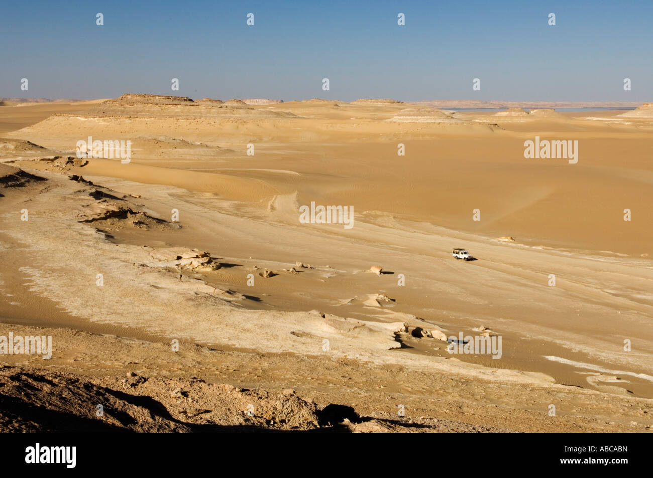 dunes, the Great Sand Sea, Western desert near Siwa oasis, Egypt Stock ...